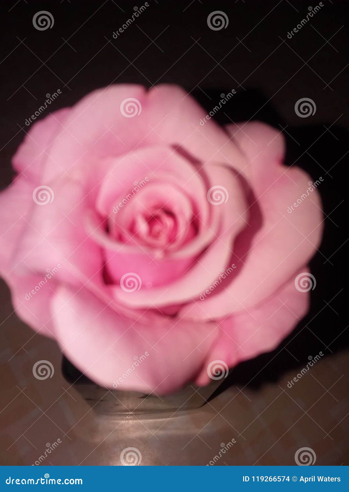 Core cor-de-rosa foto de stock. Imagem de pincelada - 119266574