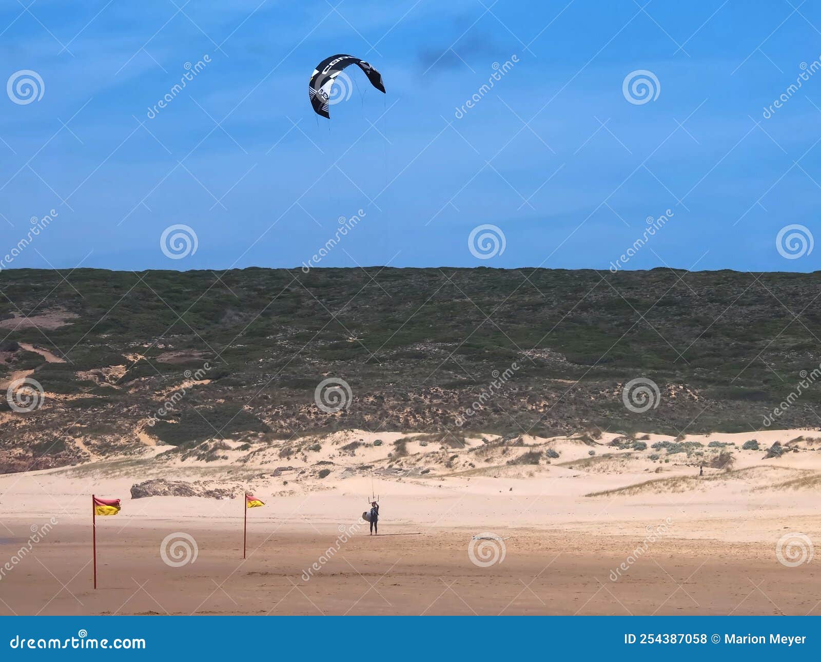 110 Core Surfer Stock Photos - Free & Royalty-Free Stock Photos from ...