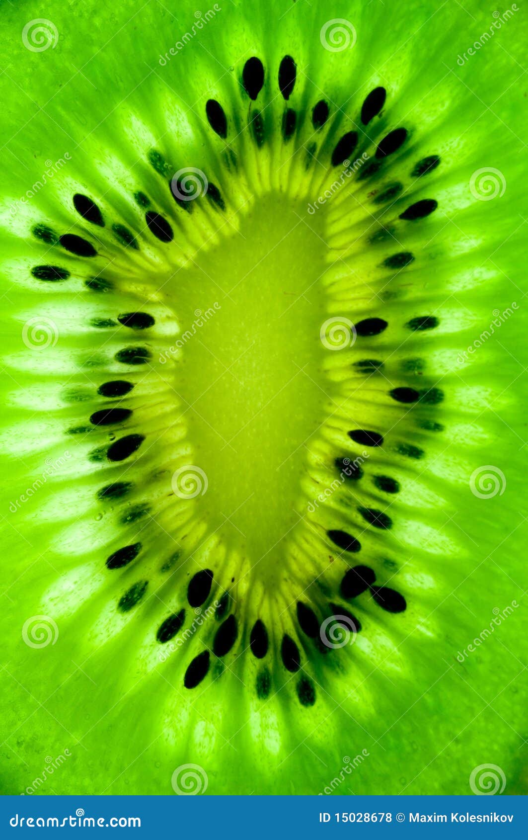 Core kiwi close up stock photo. Image of green, medicine - 15028678