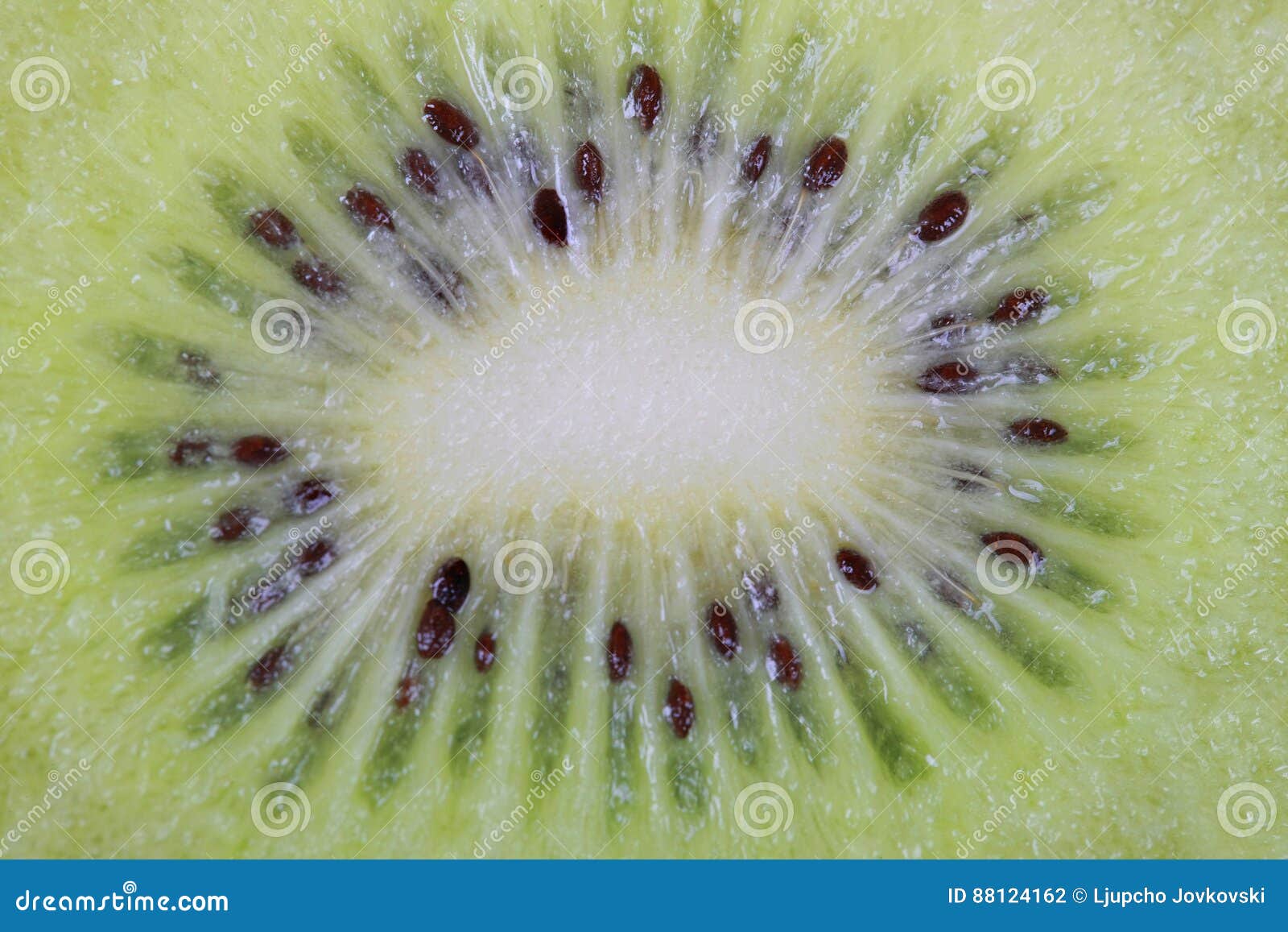 Core kiwi, macro stock photo. Image of fruit, ripe, core - 88124162