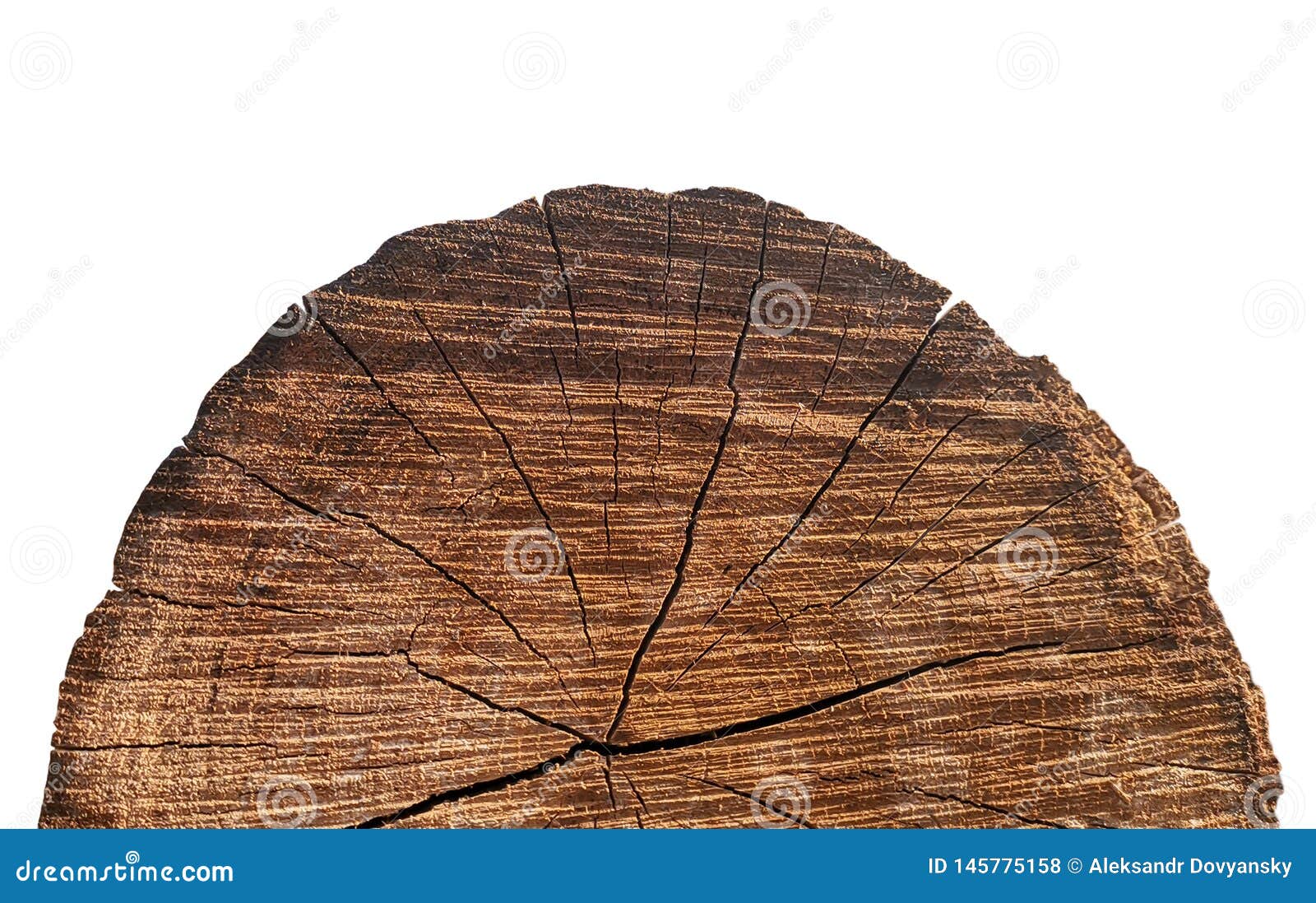 The Core of the Old Tree with Cracks Close-up Stock Photo - Image of ...