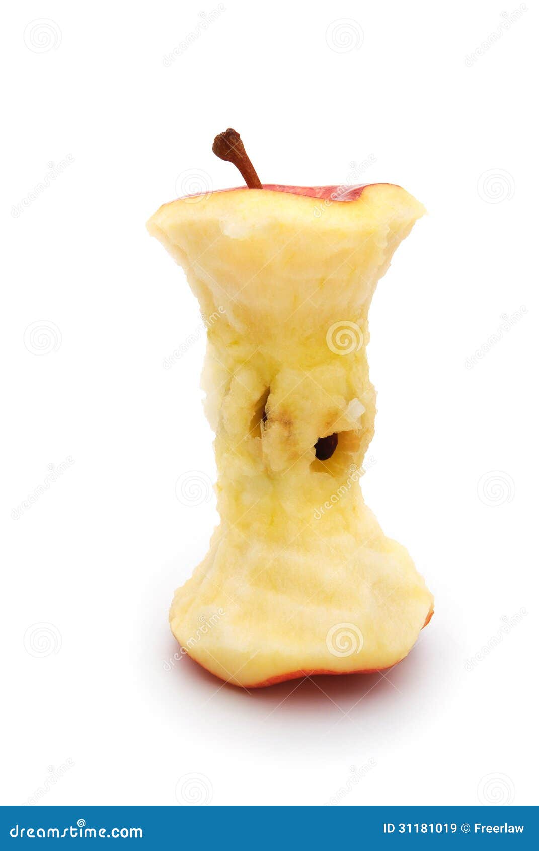 Core of a red apple stock image. Image of energy, food - 31181019