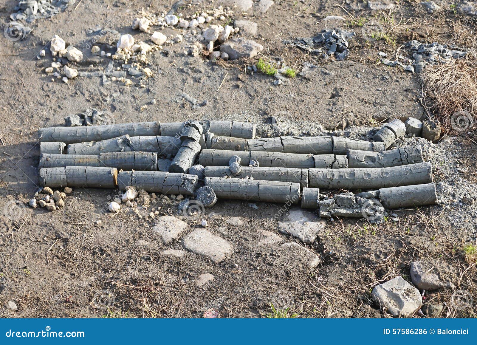 Core Samples stock photo. Image of sediment, geology - 57586286