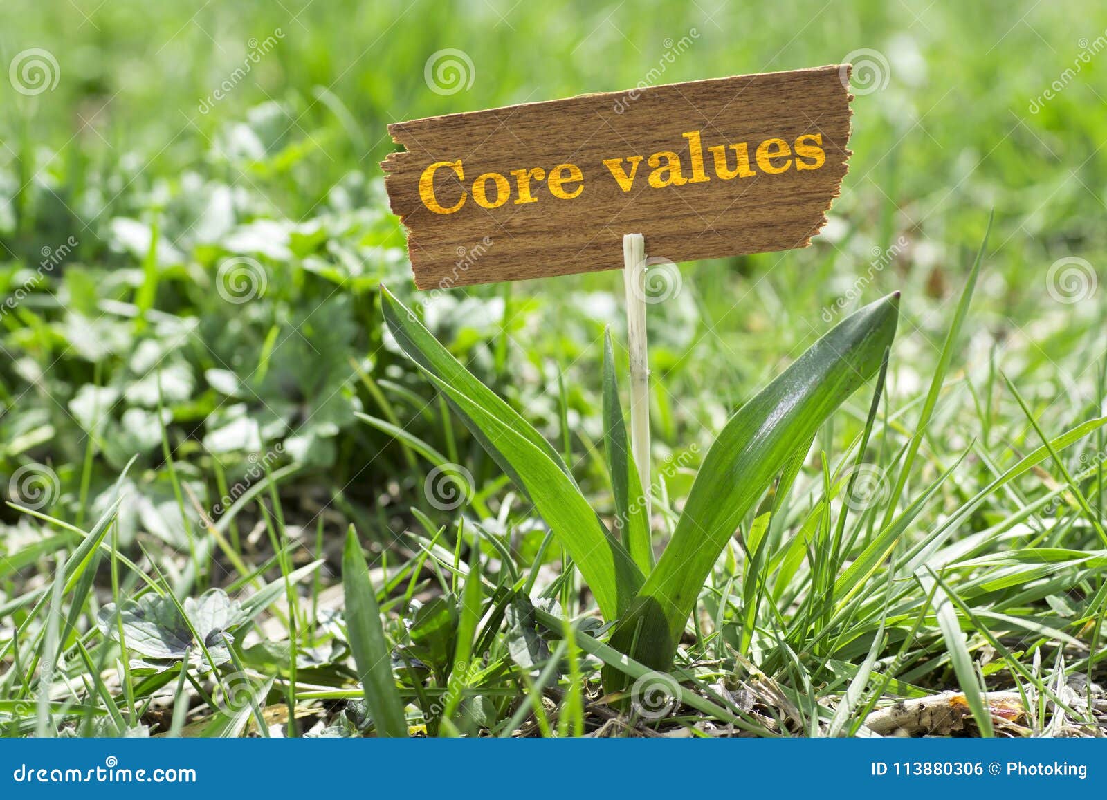 Core Values Concept On Virtual Screen. Business And Finance Solutions ...
