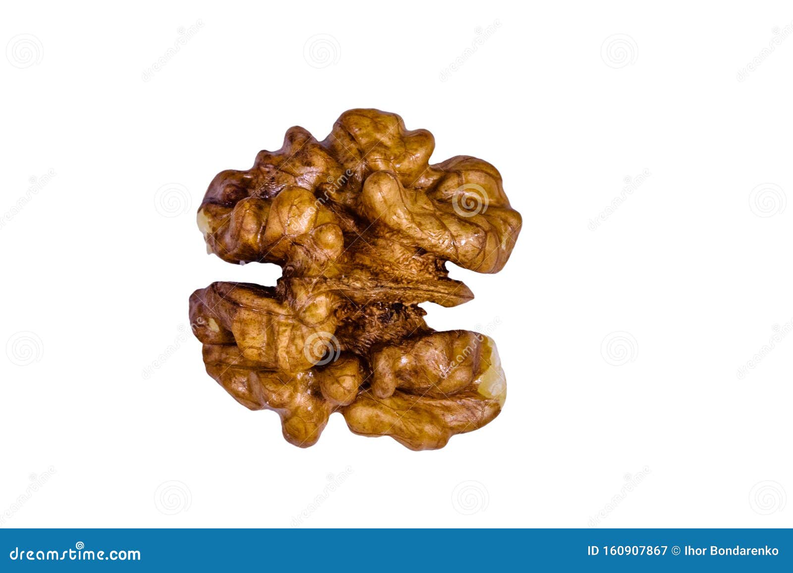 Core of Walnut Isolated on a White Background Stock Image - Image of ...