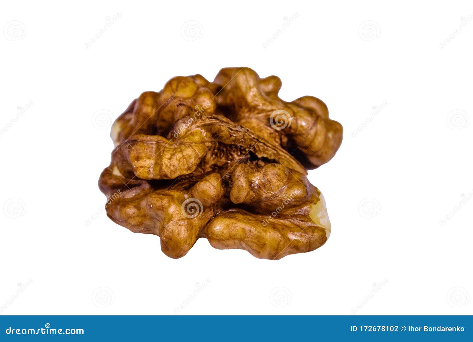 Core of Walnut Isolated on a White Background Stock Photo - Image of ...