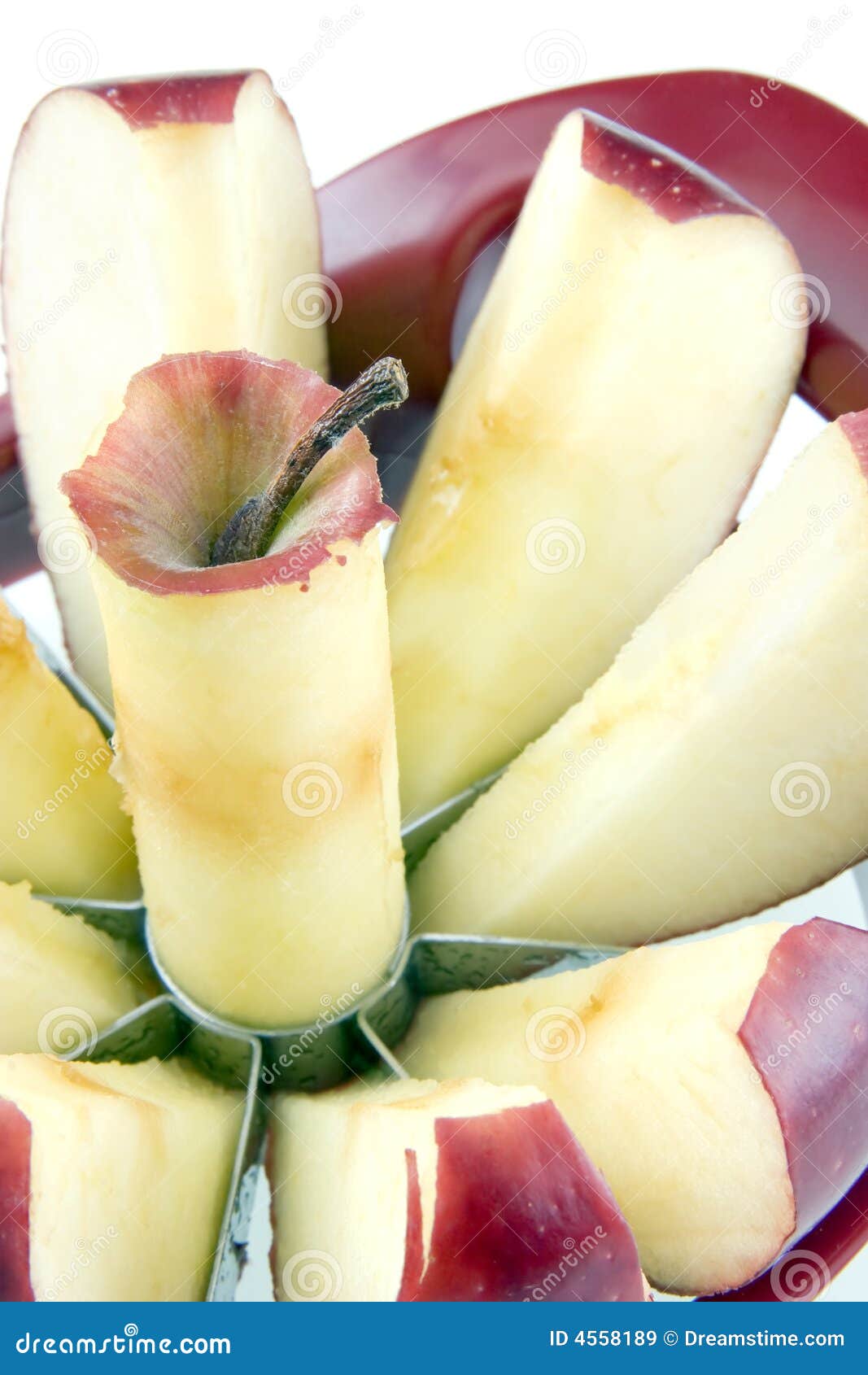 Cored and Sliced Apple Closeup Stock Image - Image of food, apple: 4558189
