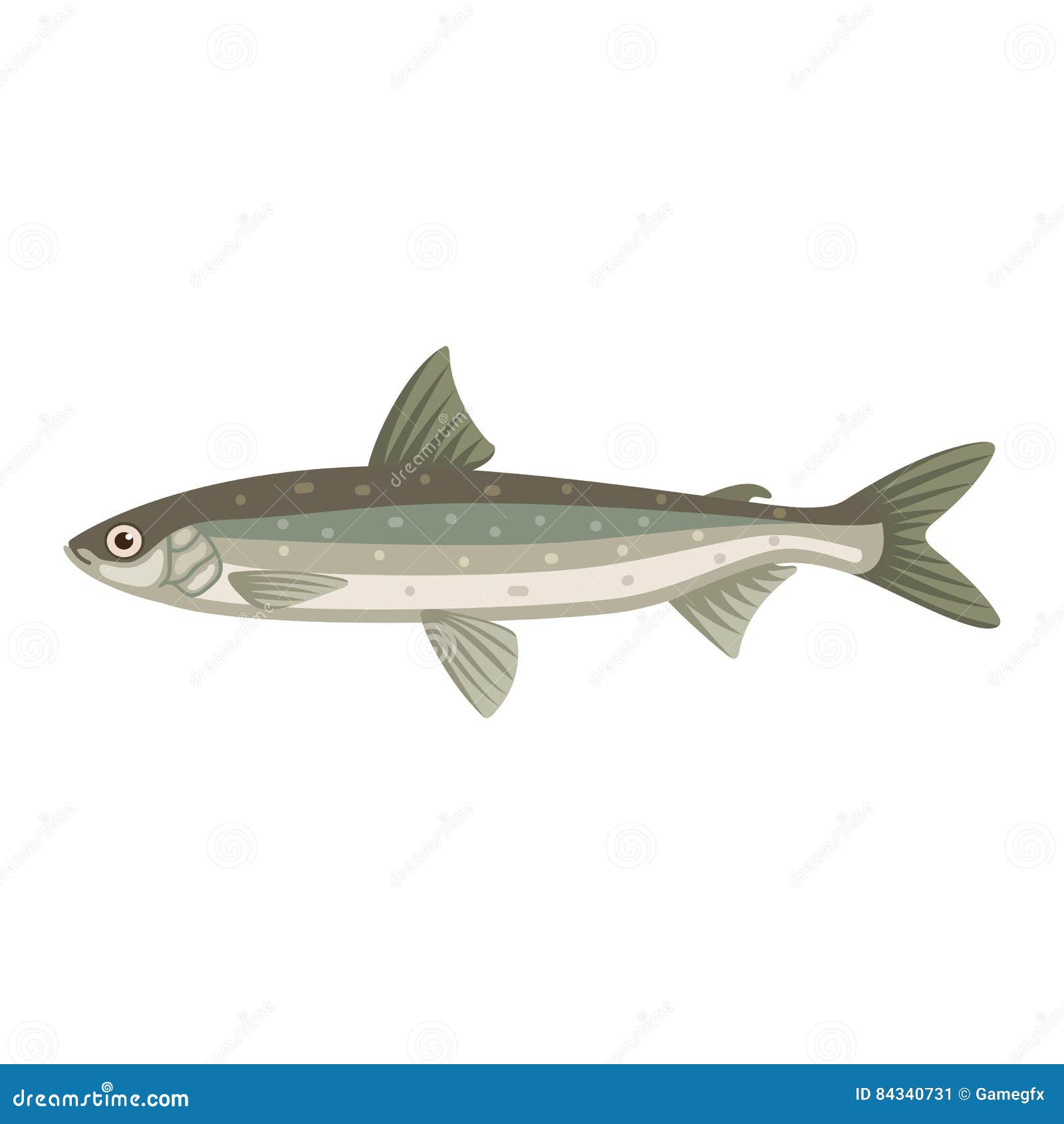 Cisco Fish Identification