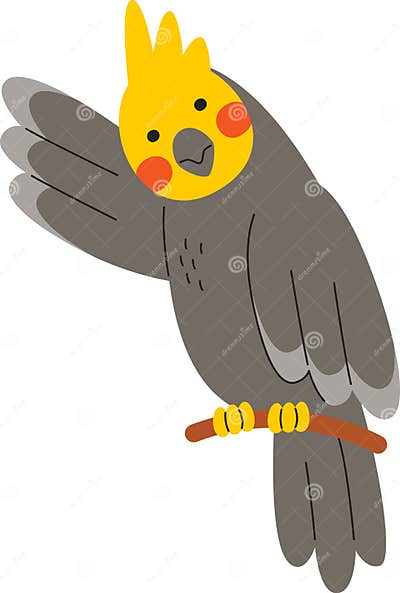 Corella Parrot Sitting on Twig Stock Illustration - Illustration of ...