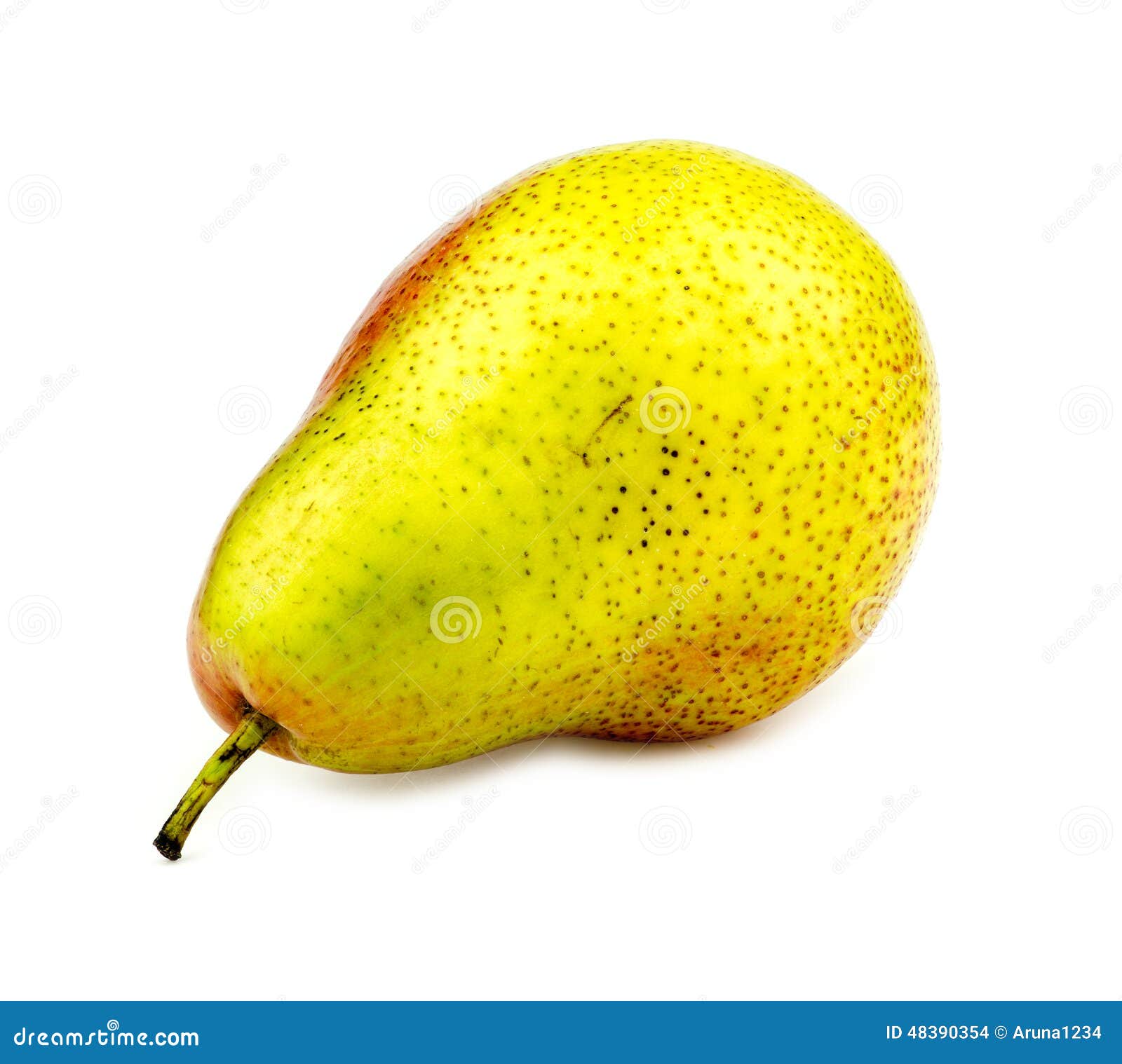 Corella pear studio shot stock photo. Image of lying - 48390354