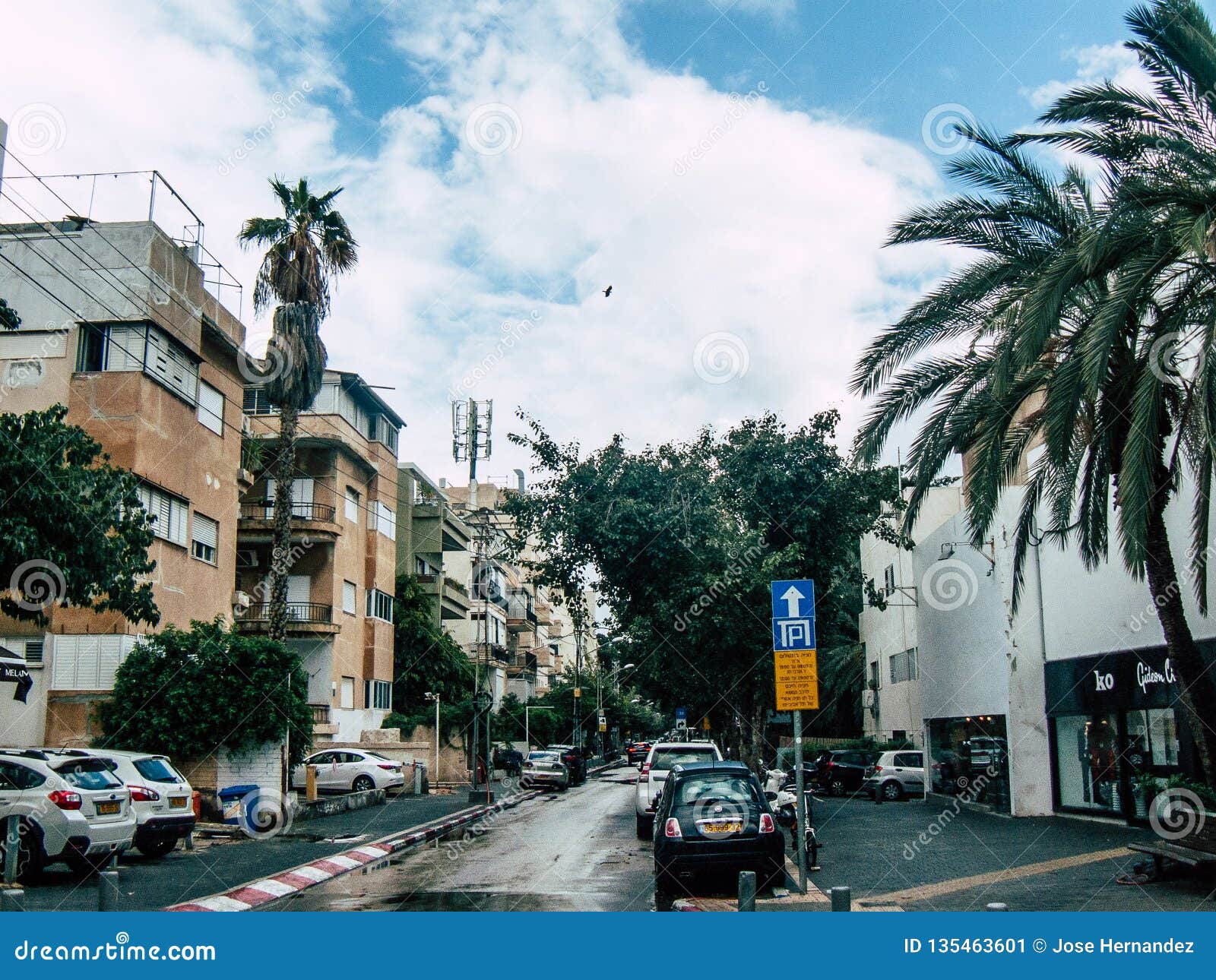 Cores de Israel foto editorial. Imagem de israel, cityscape - 135463601