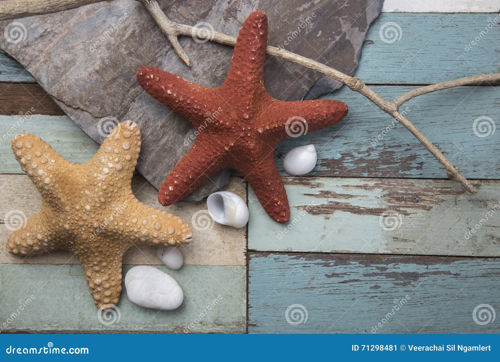 Cores De Shell No Fundo Da Madeira Imagem de Stock - Imagem de colorido ...