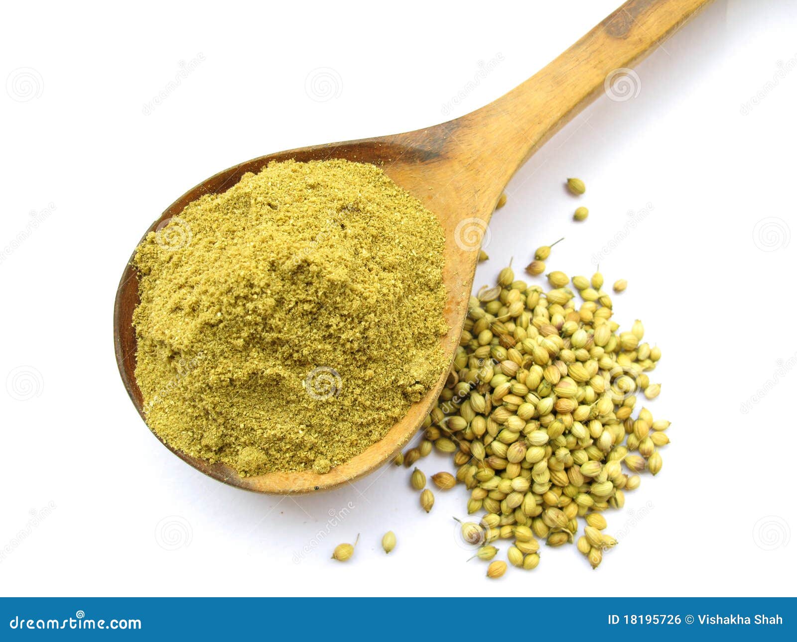 Coriander stock photo. Image of ingredients, powder, india - 18195726