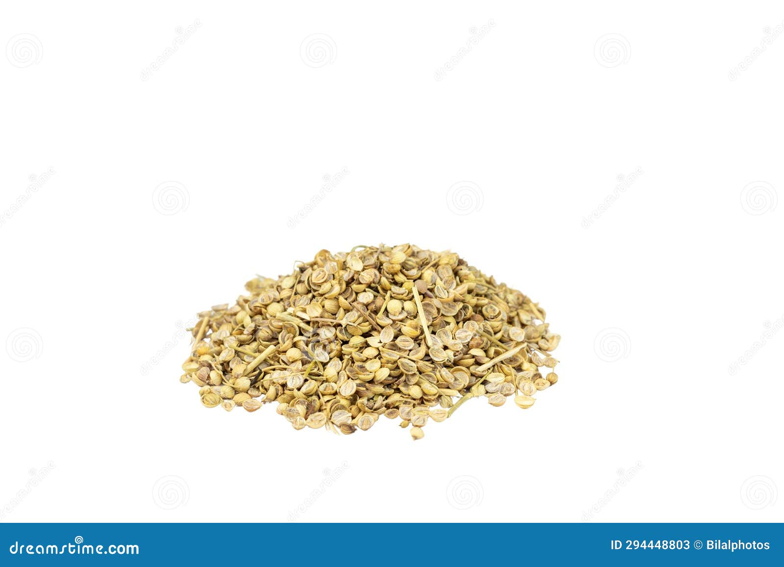 Coriander Also Known As Cilantro Seeds Isolated on White Background ...