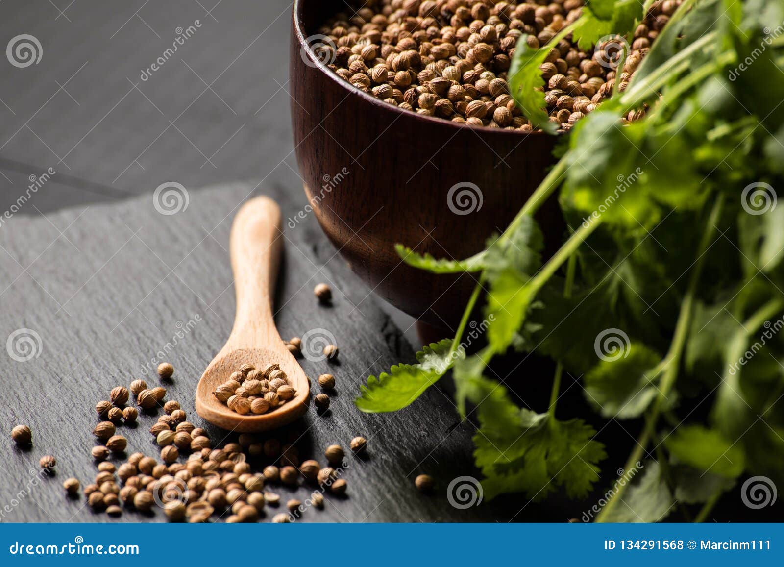 Coriander cilantro seeds stock photo. Image of condiment - 134291568