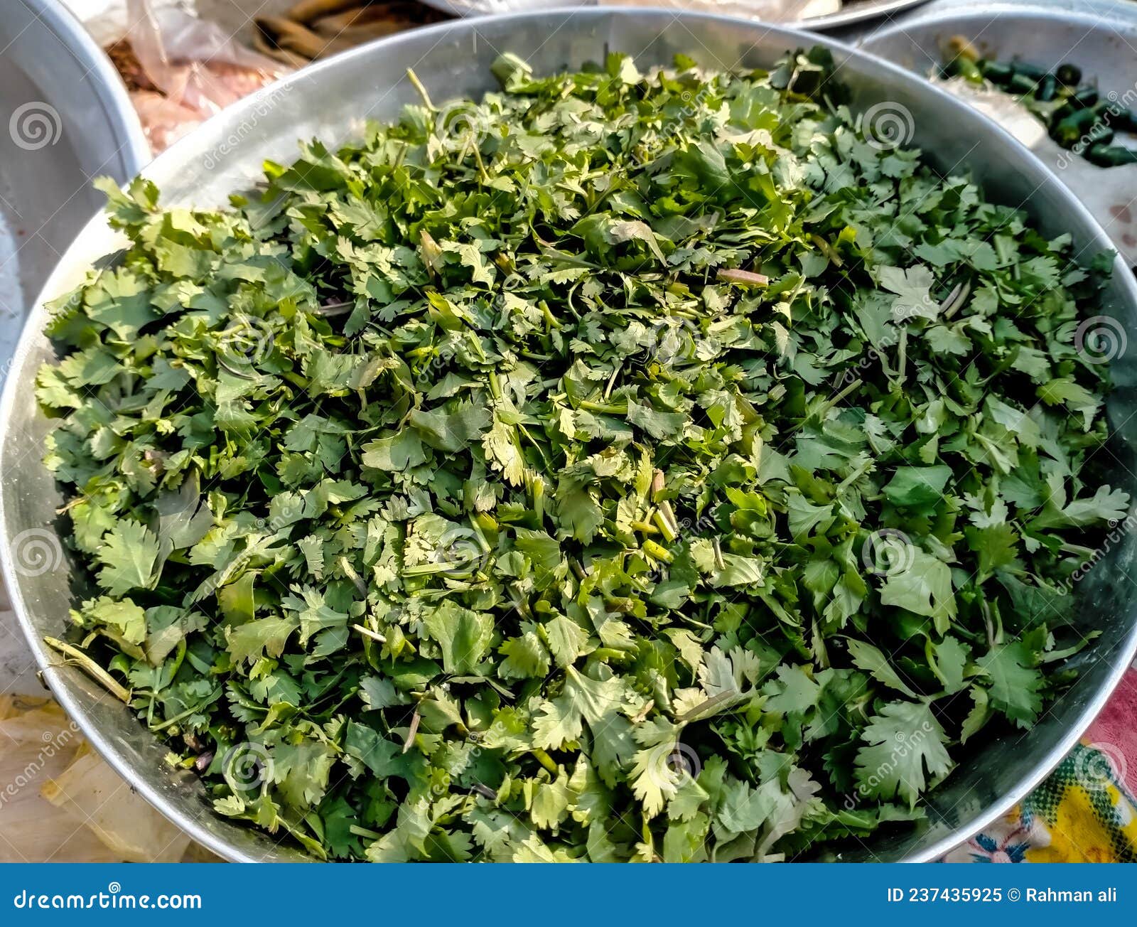 Coriander in cutting form. stock image. Image of shrub - 237435925