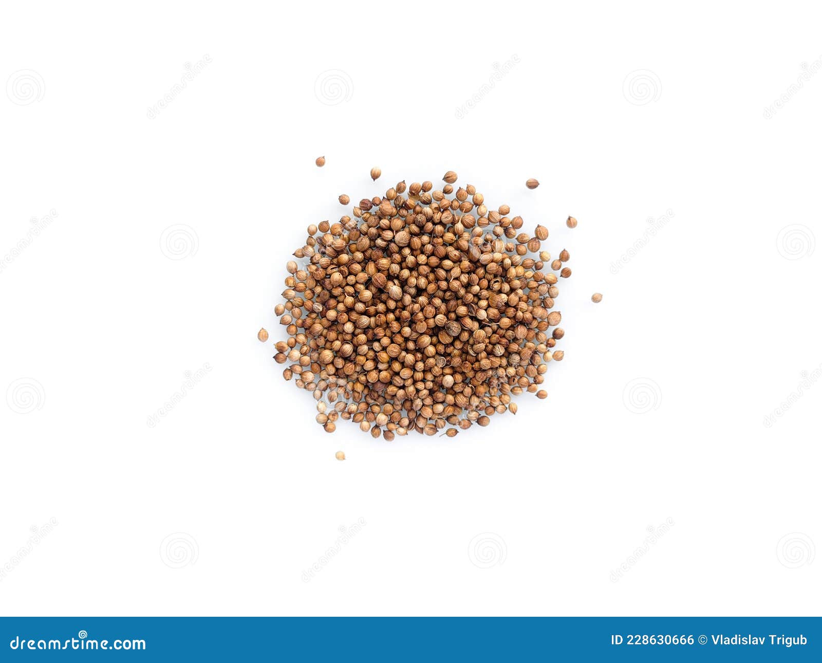Coriander Fruit Isolate. Heap of Coriander Seeds on a White Background ...