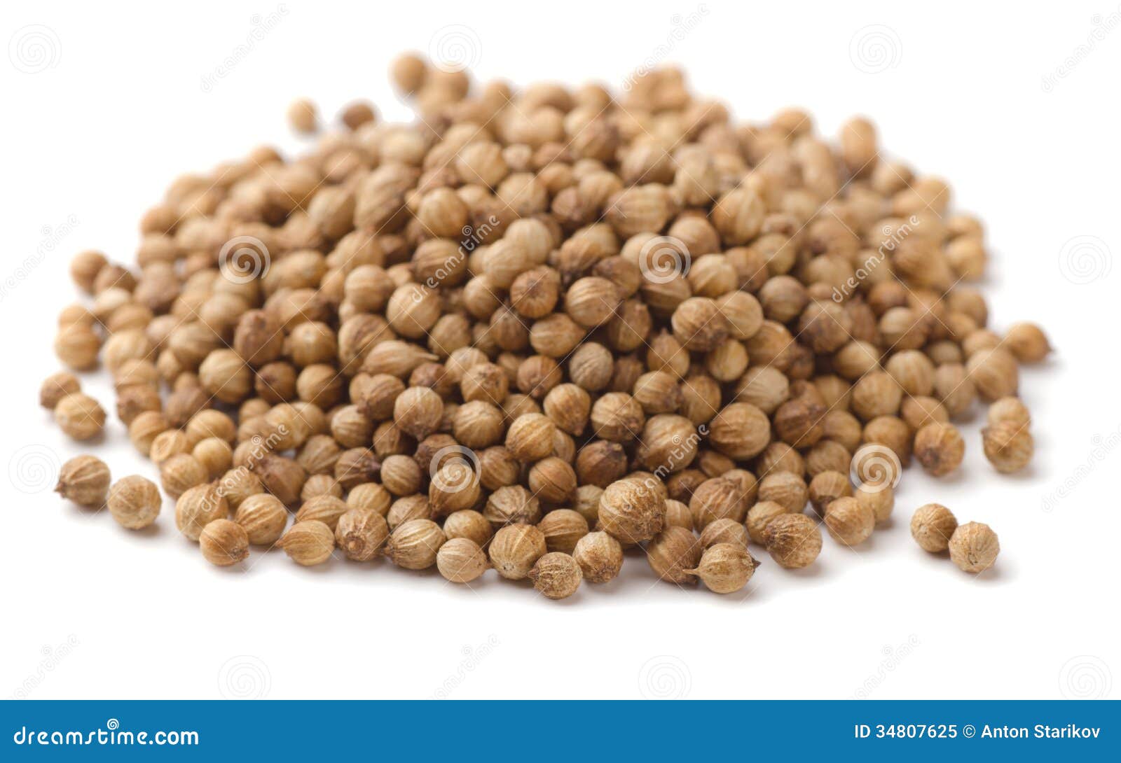 Coriander stock image. Image of herbs, medicine, fruits - 34807625
