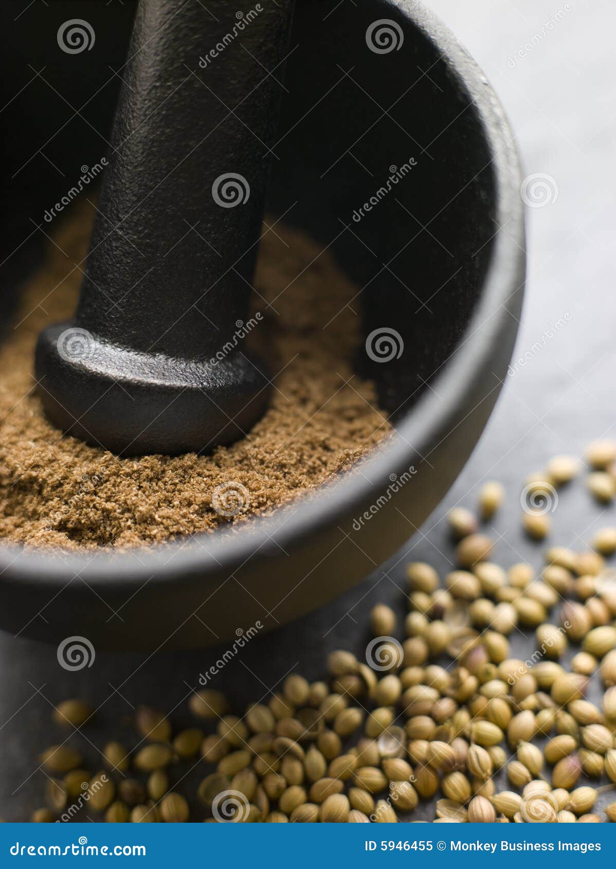 Coriander Powder in a Pestle and Mortar with Coria Stock Image - Image ...