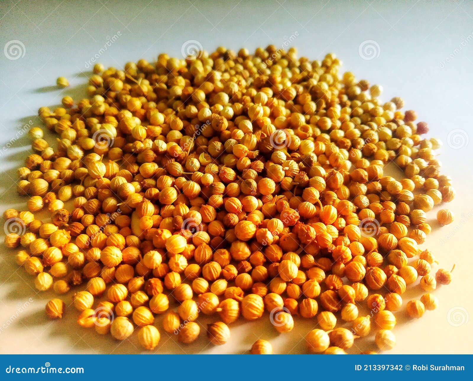 Coriander Seasoning from Indonesia Stock Photo - Image of seasoning ...