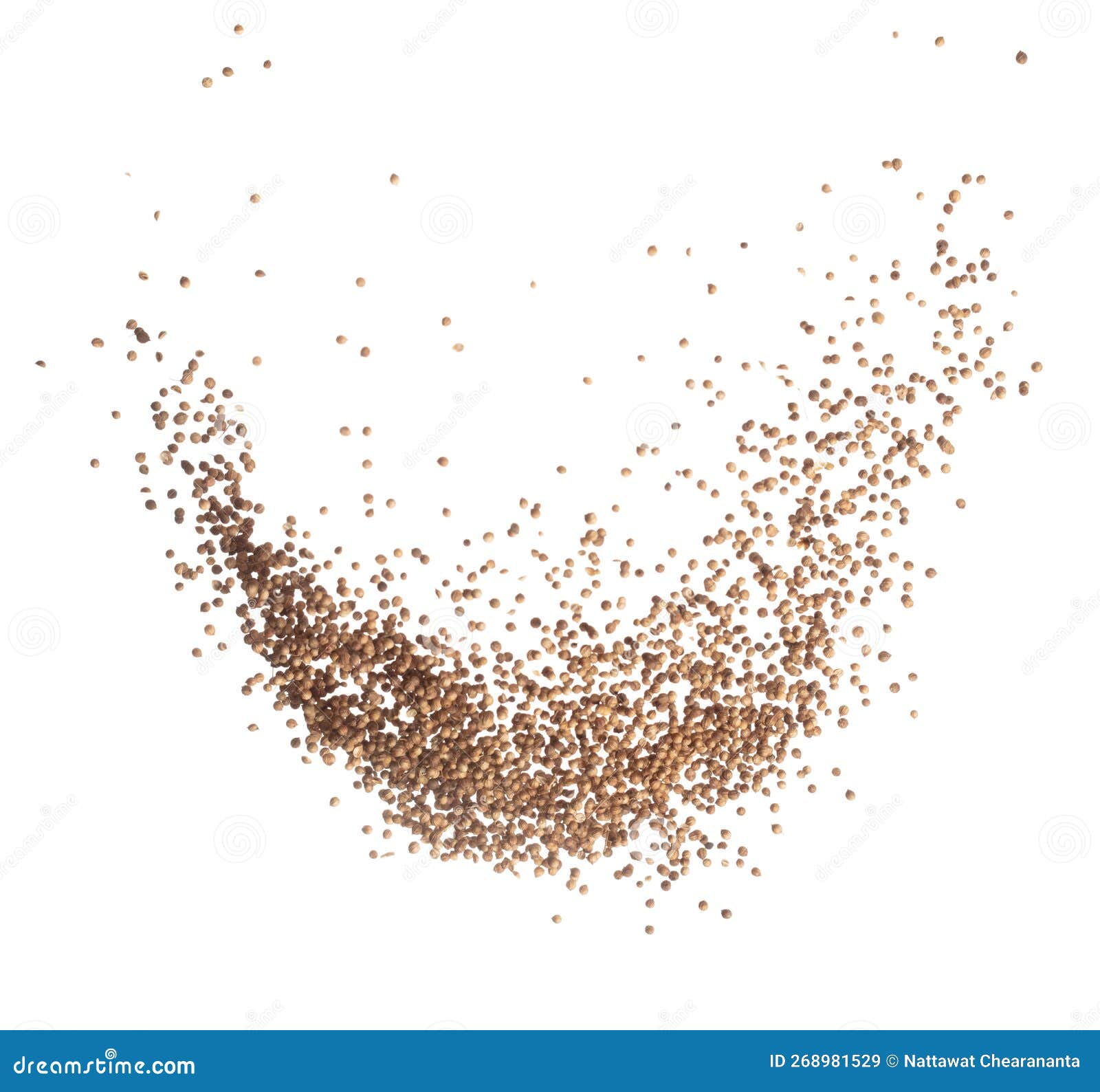 Coriander Seed Fly Explosion, Brown Coriander Seed Float Explode ...
