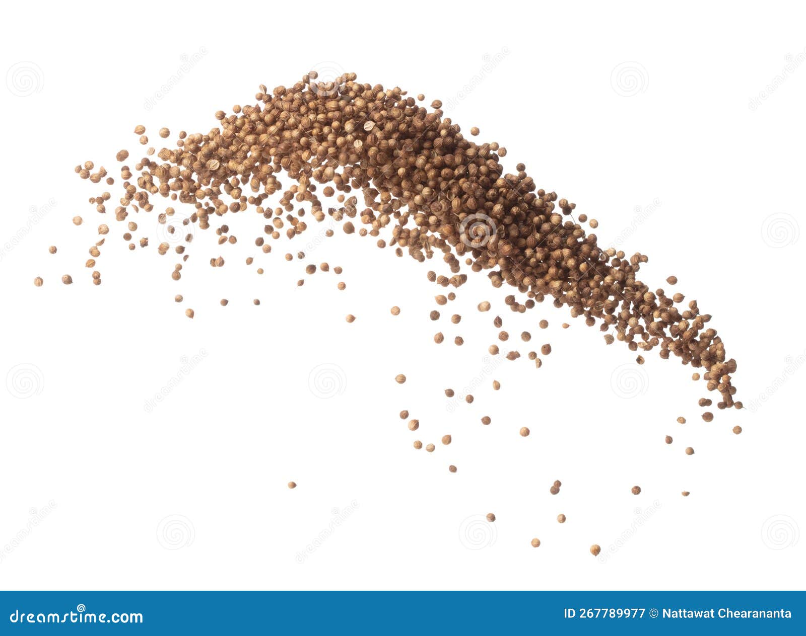Coriander Seed Fly Explosion, Brown Coriander Seed Float Explode ...