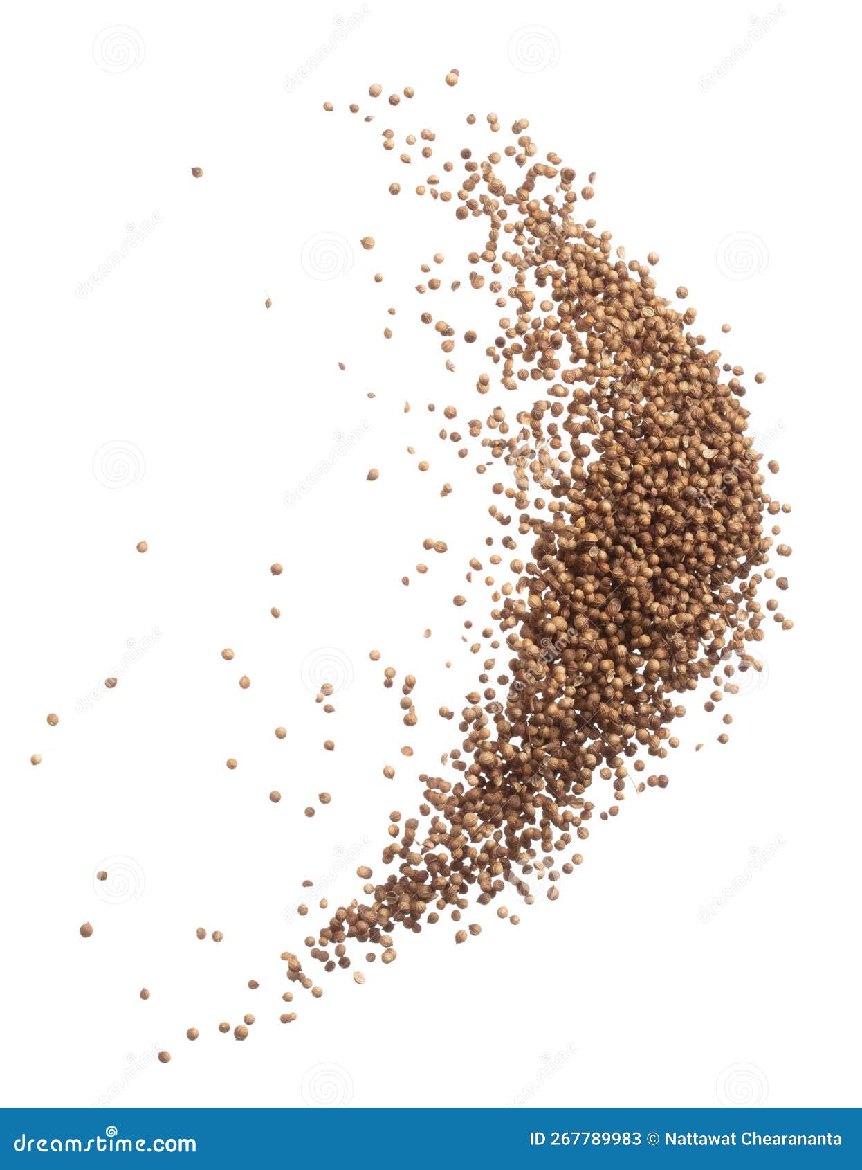 Coriander Seed Fly Explosion, Brown Coriander Seed Float Explode ...