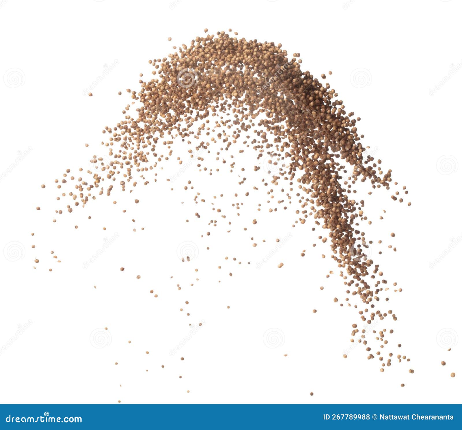 Coriander Seed Fly Explosion, Brown Coriander Seed Float Explode ...
