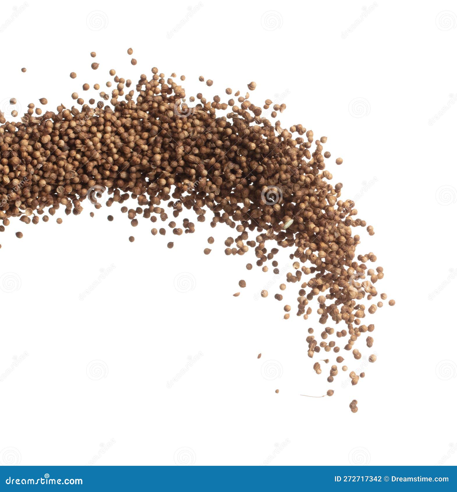 Coriander Seed Fly Explosion, Brown Coriander Seed Float Explode ...