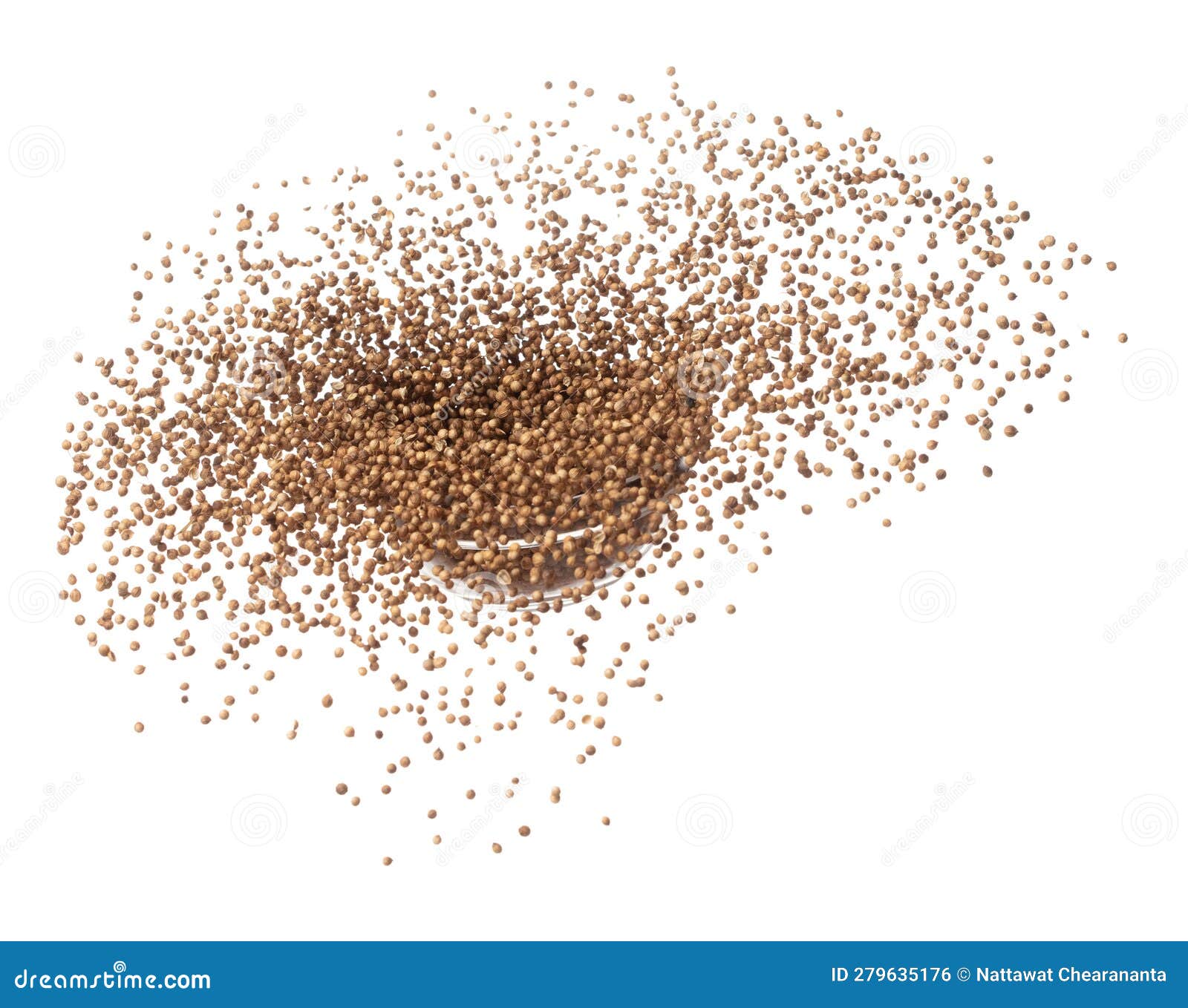 Coriander Seed Fly Throw Up in Glass Bowl, Brown Coriander Seed Float ...