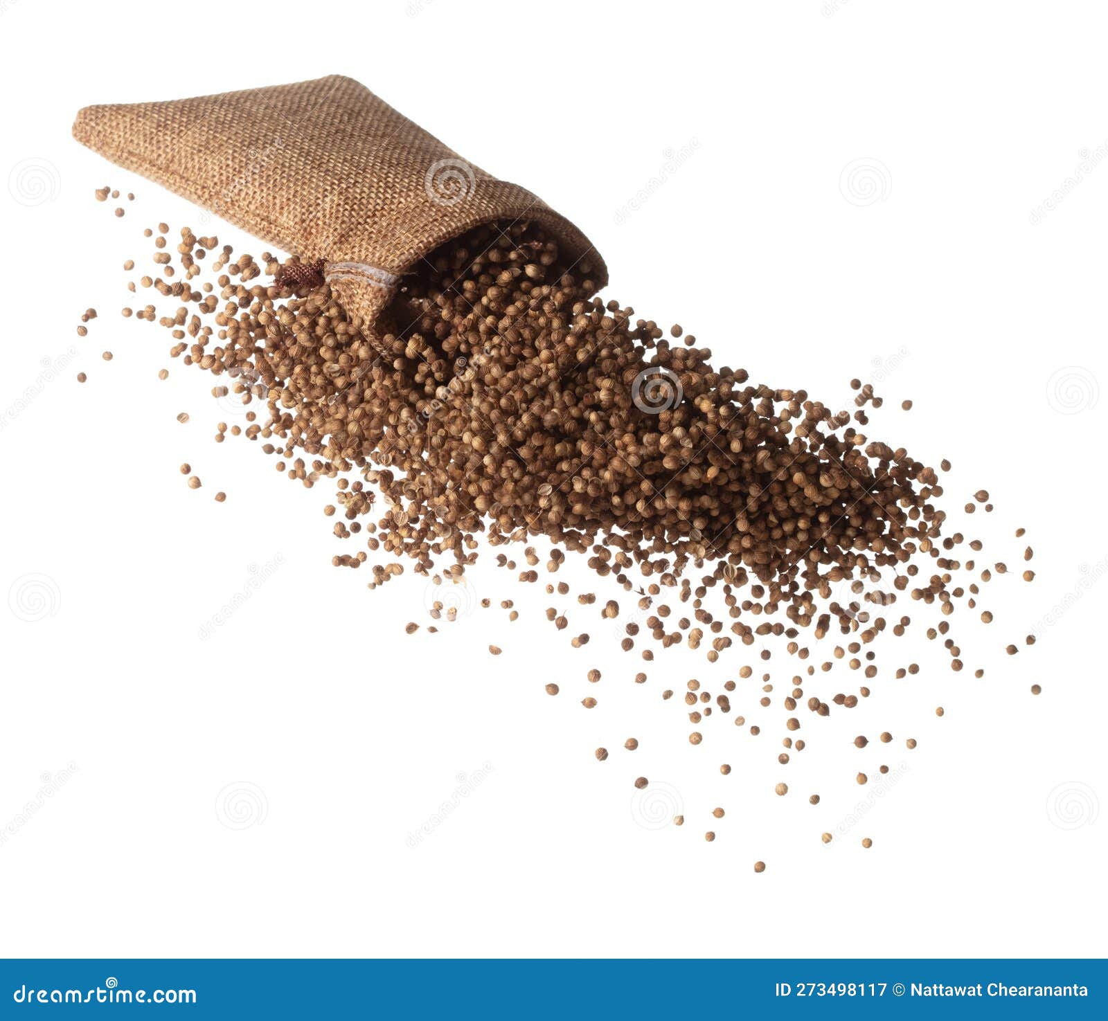 Coriander Seed Fly Throw Up in Sack Bag, Brown Coriander Seed Float ...