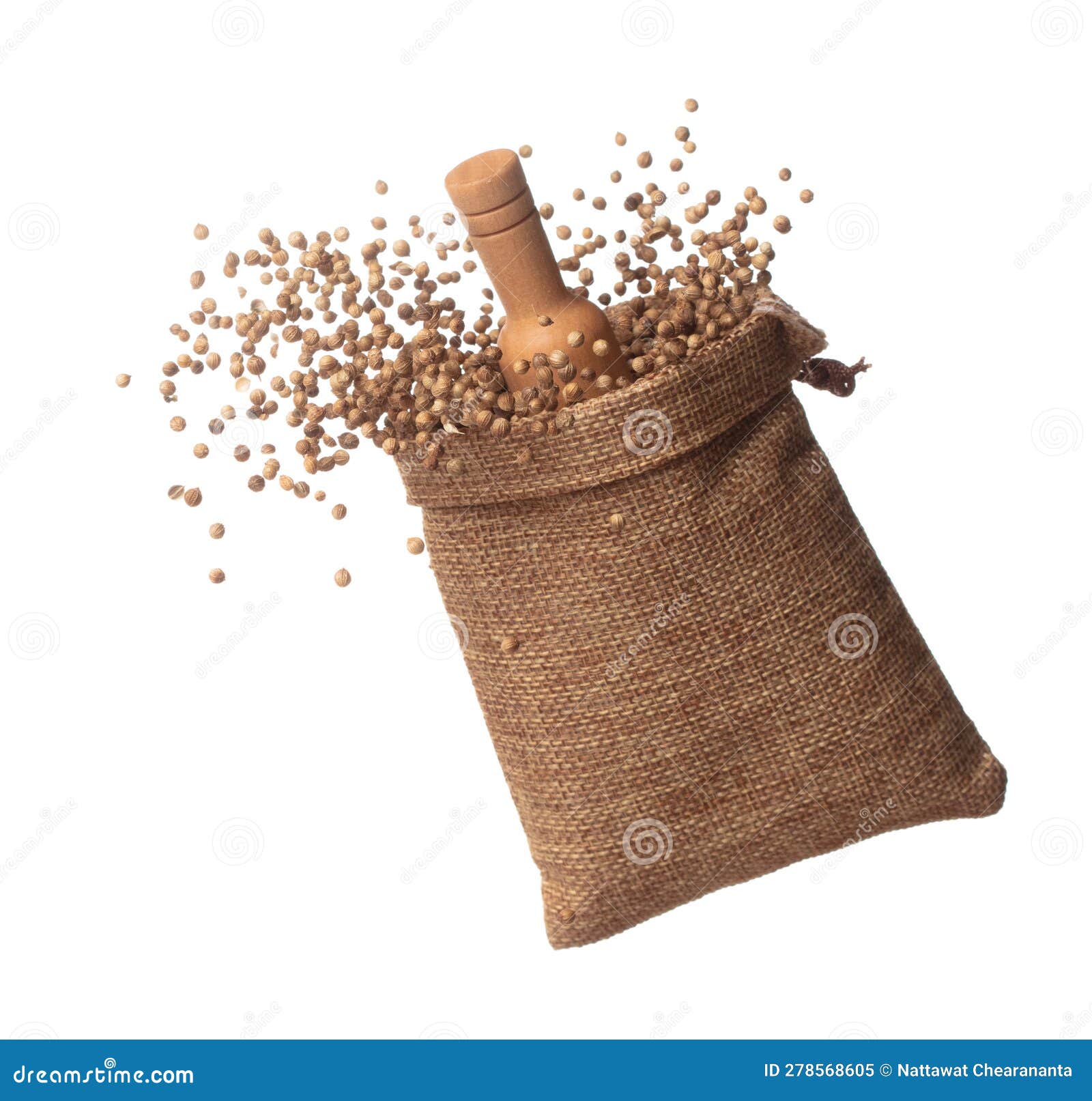 Coriander Seed Fly Throw Up in Sack Bag, Brown Coriander Seed Float ...