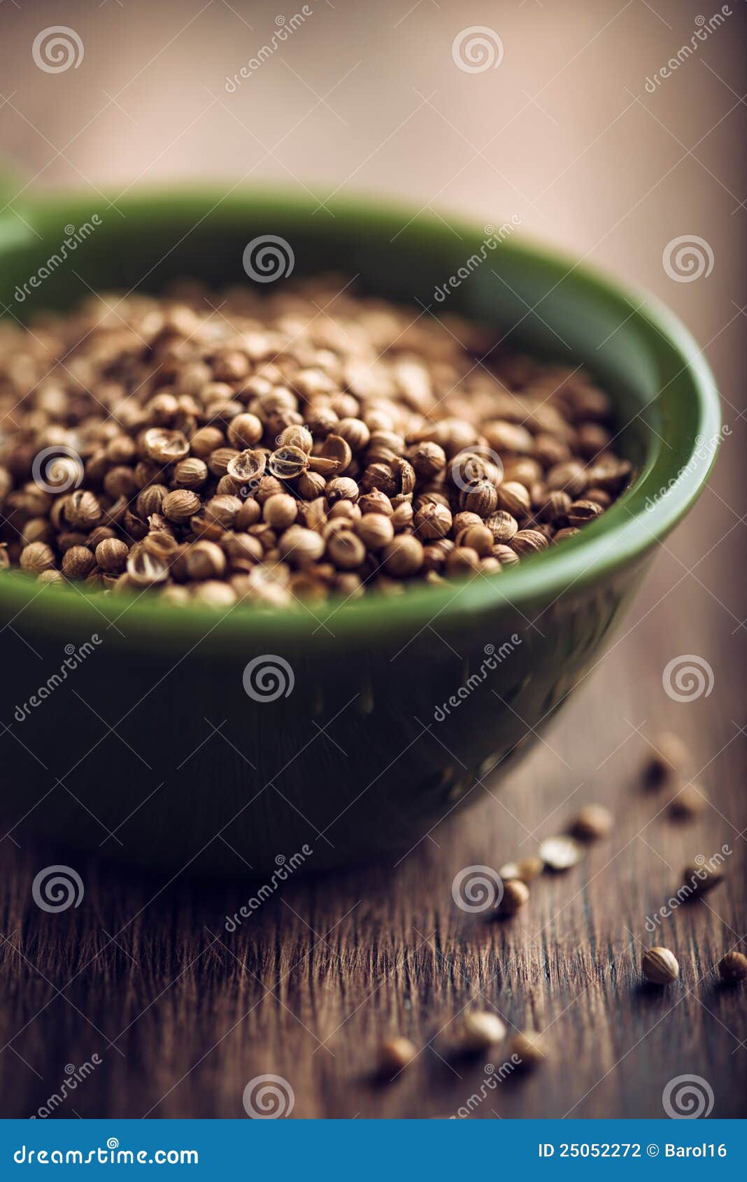 Coriander Seeds stock photo. Image of rustic, still, spices - 25052272