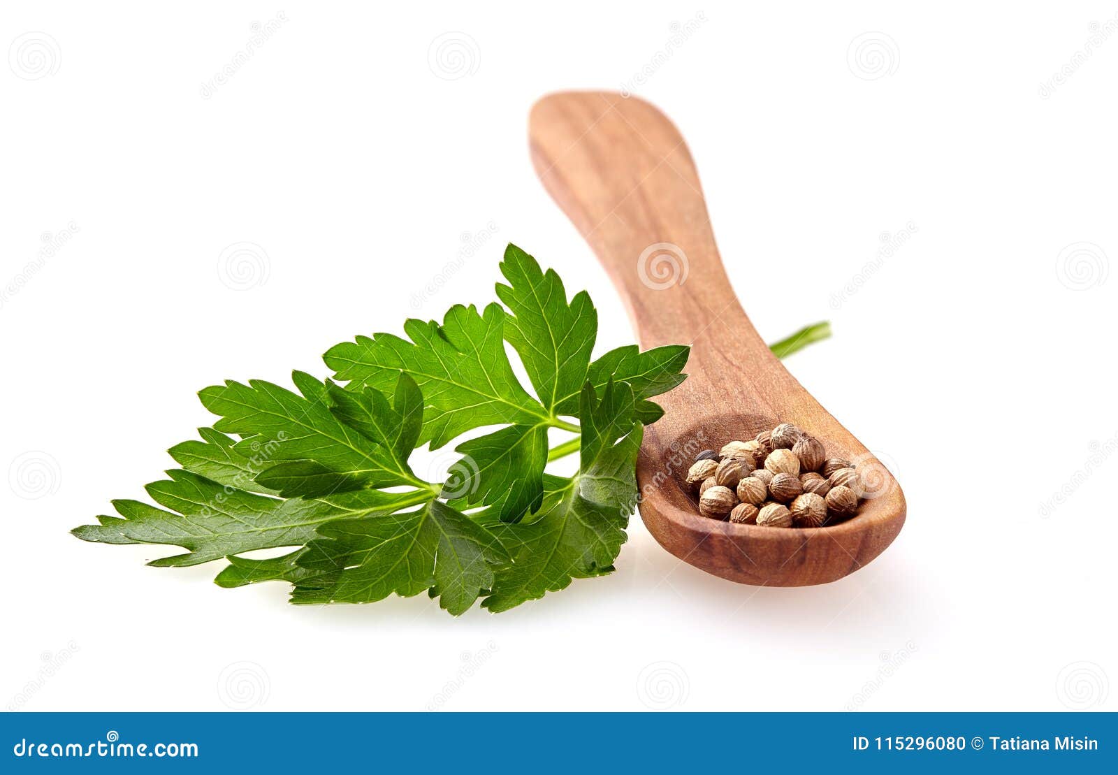 Coriander Seeds Isolated on White Background Stock Photo - Image of ...