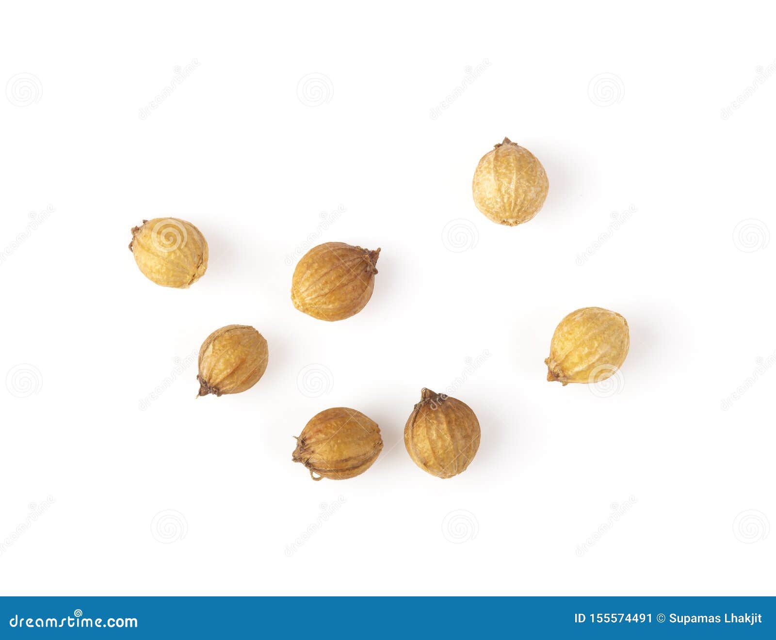 Coriander Seeds on White Background Stock Image - Image of coriandrum ...