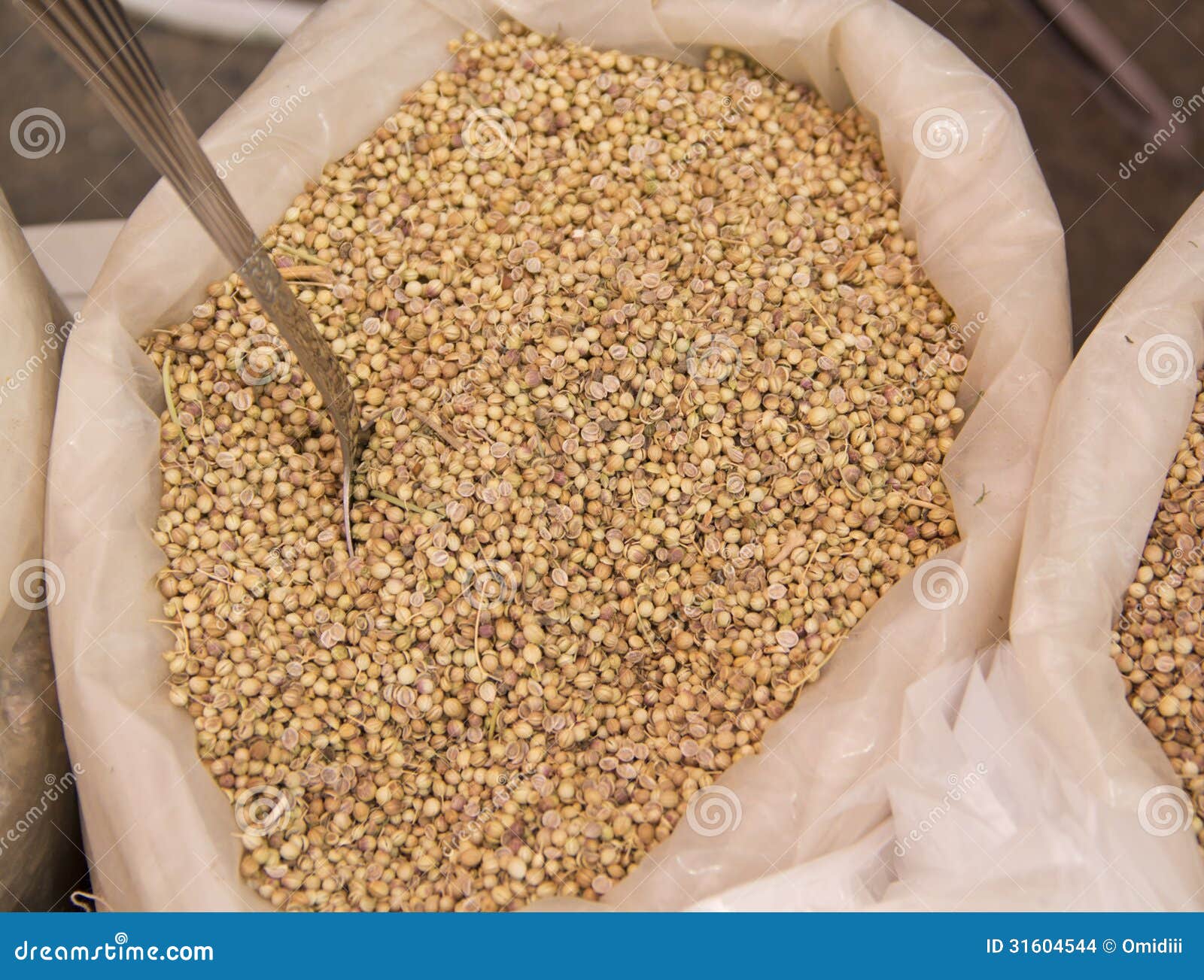Coriander seeds with spoon stock photo. Image of spoon - 31604544