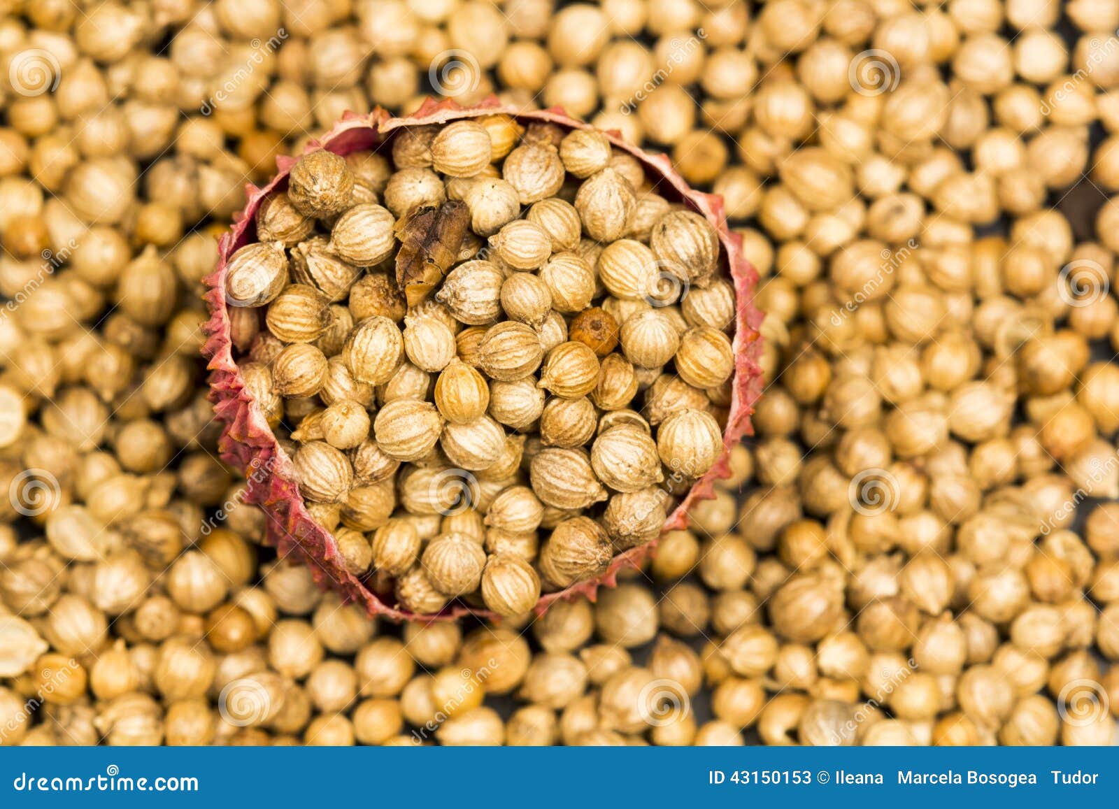 Coriander Seeds Texture with Dried Litchi Shell on Black Stock Image ...