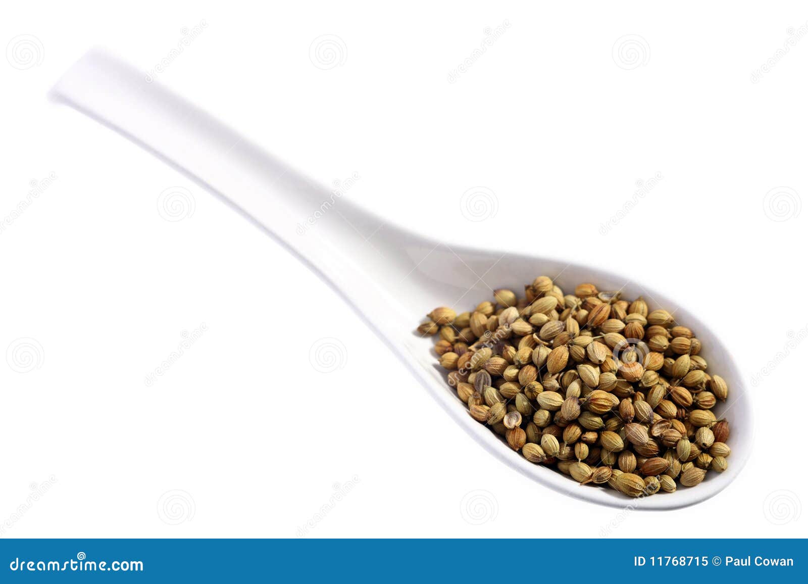 Coriander on a spoon stock image. Image of european, seed - 11768715
