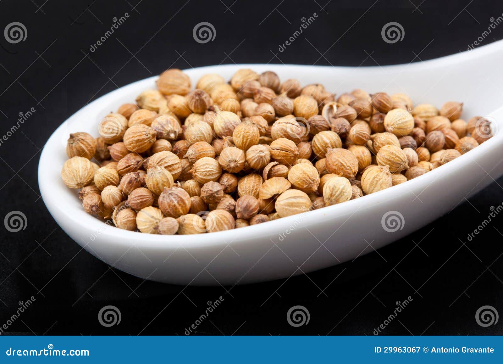 Coriander stock image. Image of garnish, seasoned, culantro - 29963067