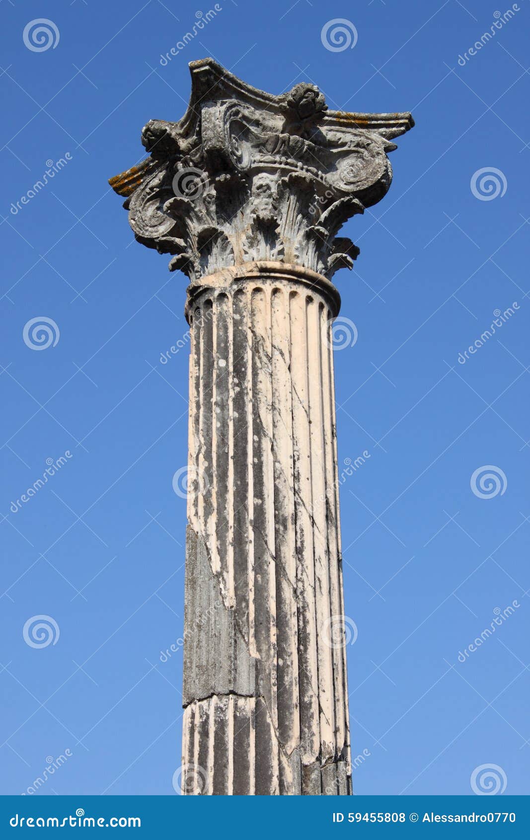 Corinthian column stock photo. Image of italia, historic - 59455808