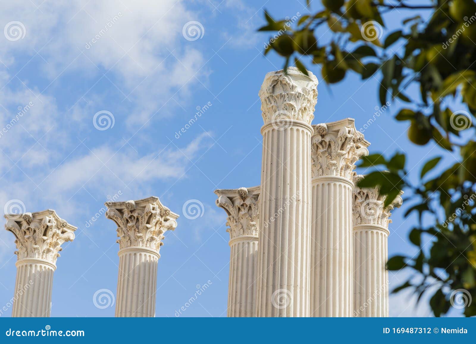 Columns in the Street Reaching the Sky Stock Photo - Image of ...