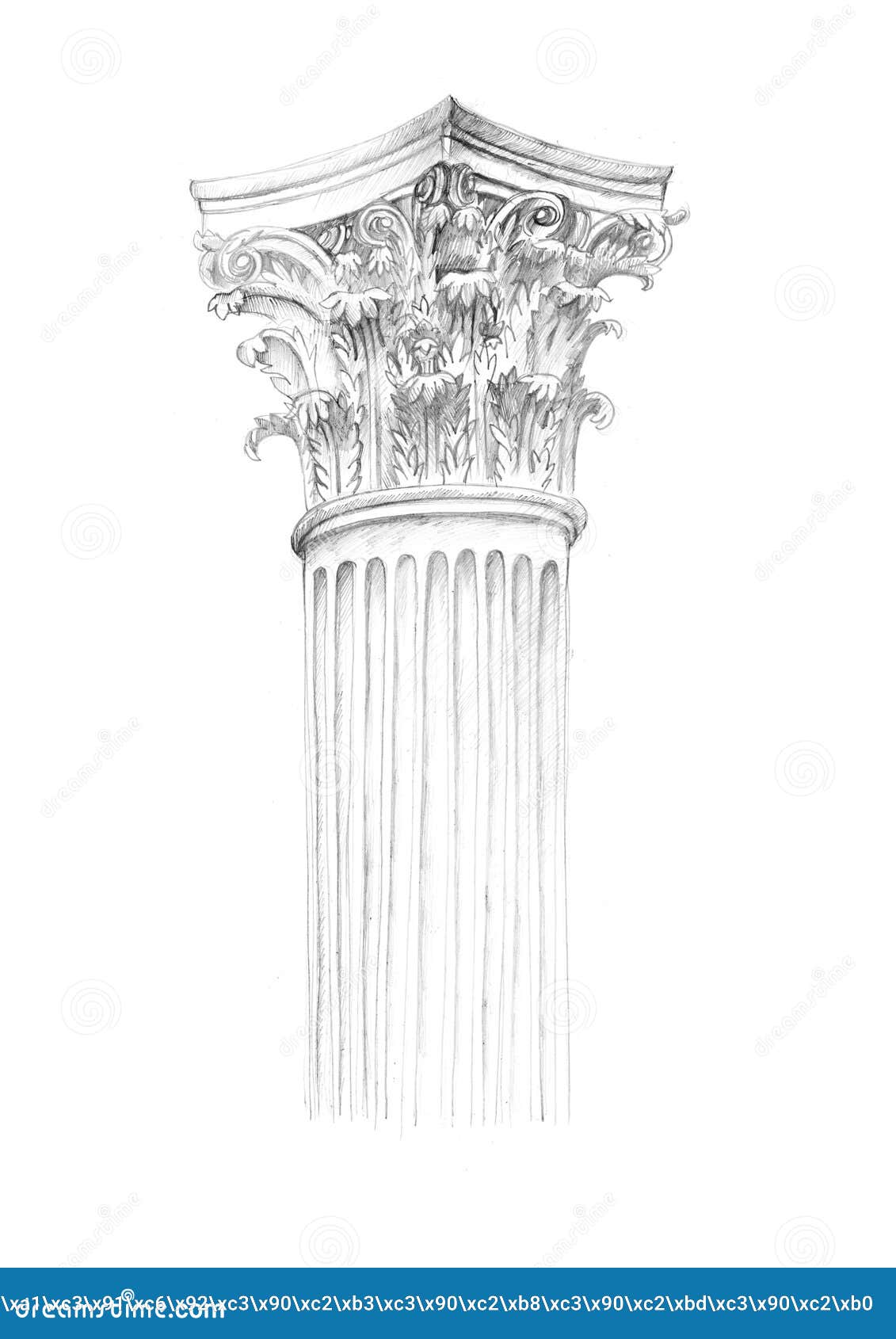 Corinthian Column Drawing