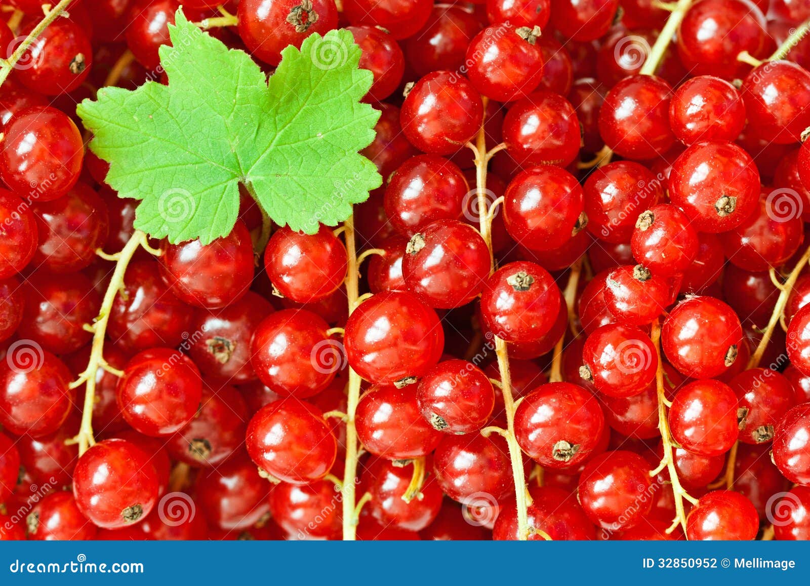 Corintos vermelhos foto de stock. Imagem de fruta, frescor - 32850952