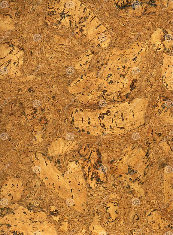Cork background stock photo. Image of memo, background - 1962442