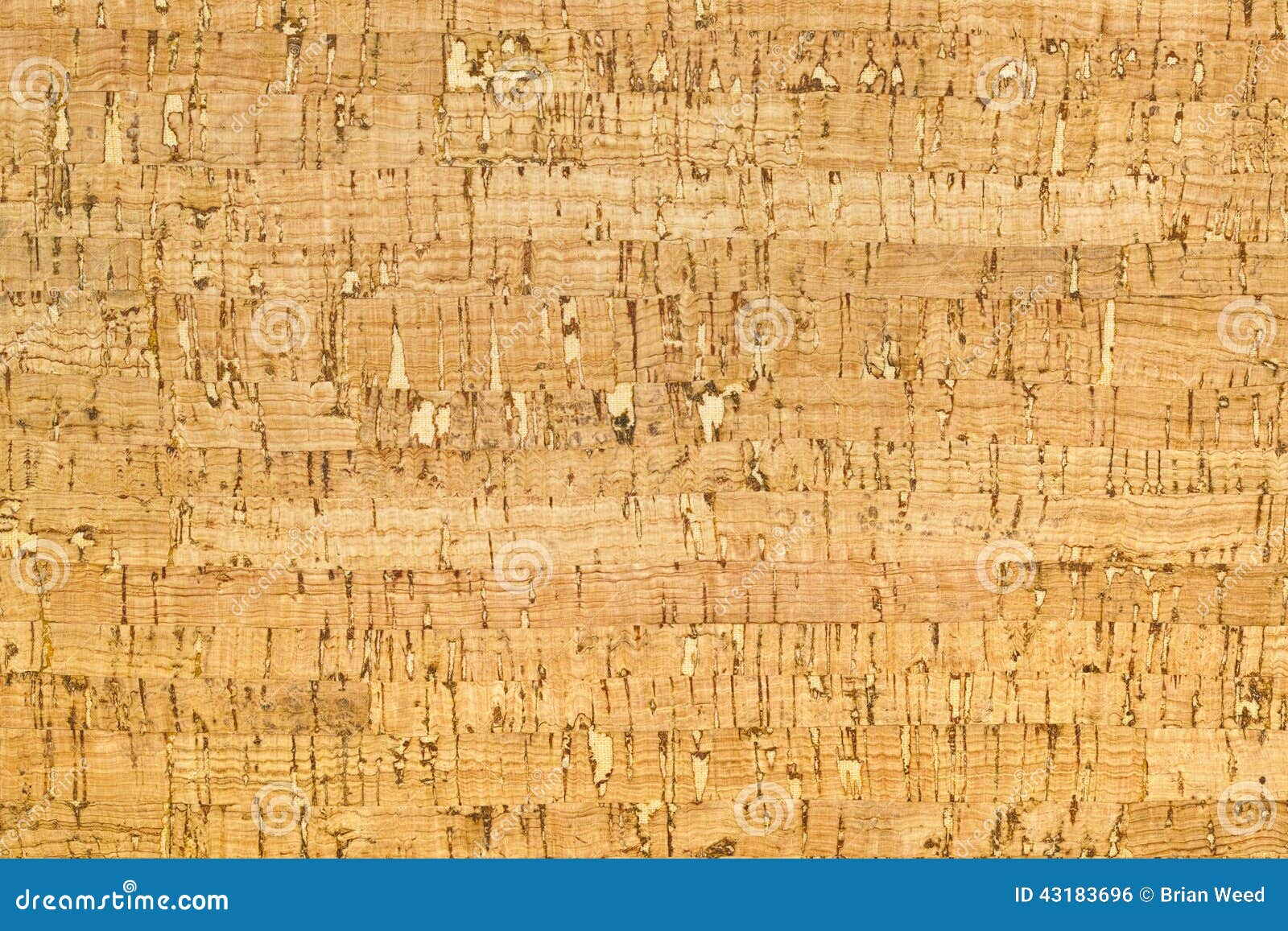 Cork Background foto de archivo. Imagen de primer, pared - 43183696