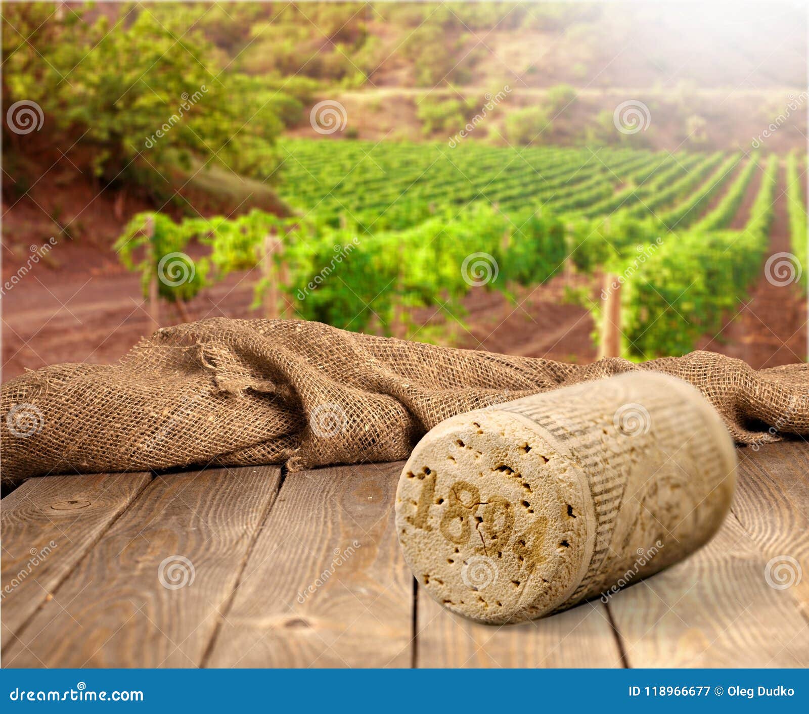 Cork stock image. Image of single, bright, luminosity - 118966677