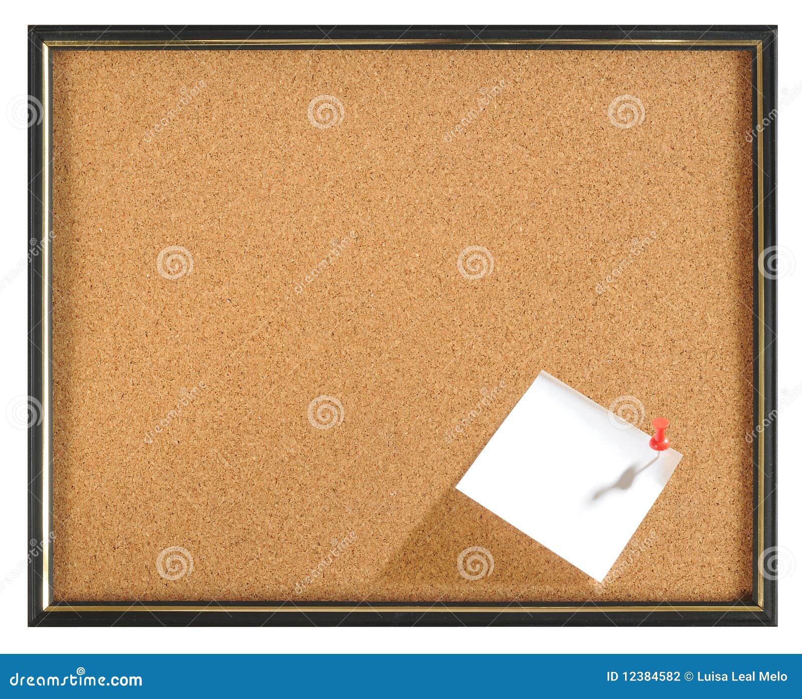 Cork board. Isolated stock photo. Image of notice, advertise - 12384582