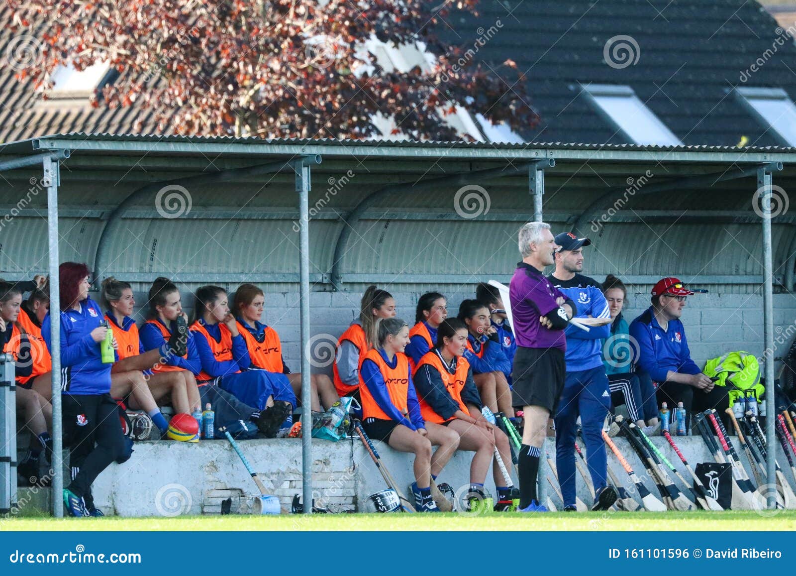 Cork Camogie Senior Championship Final: Inniscarra 0-15 Vs Sarsfields 3 ...
