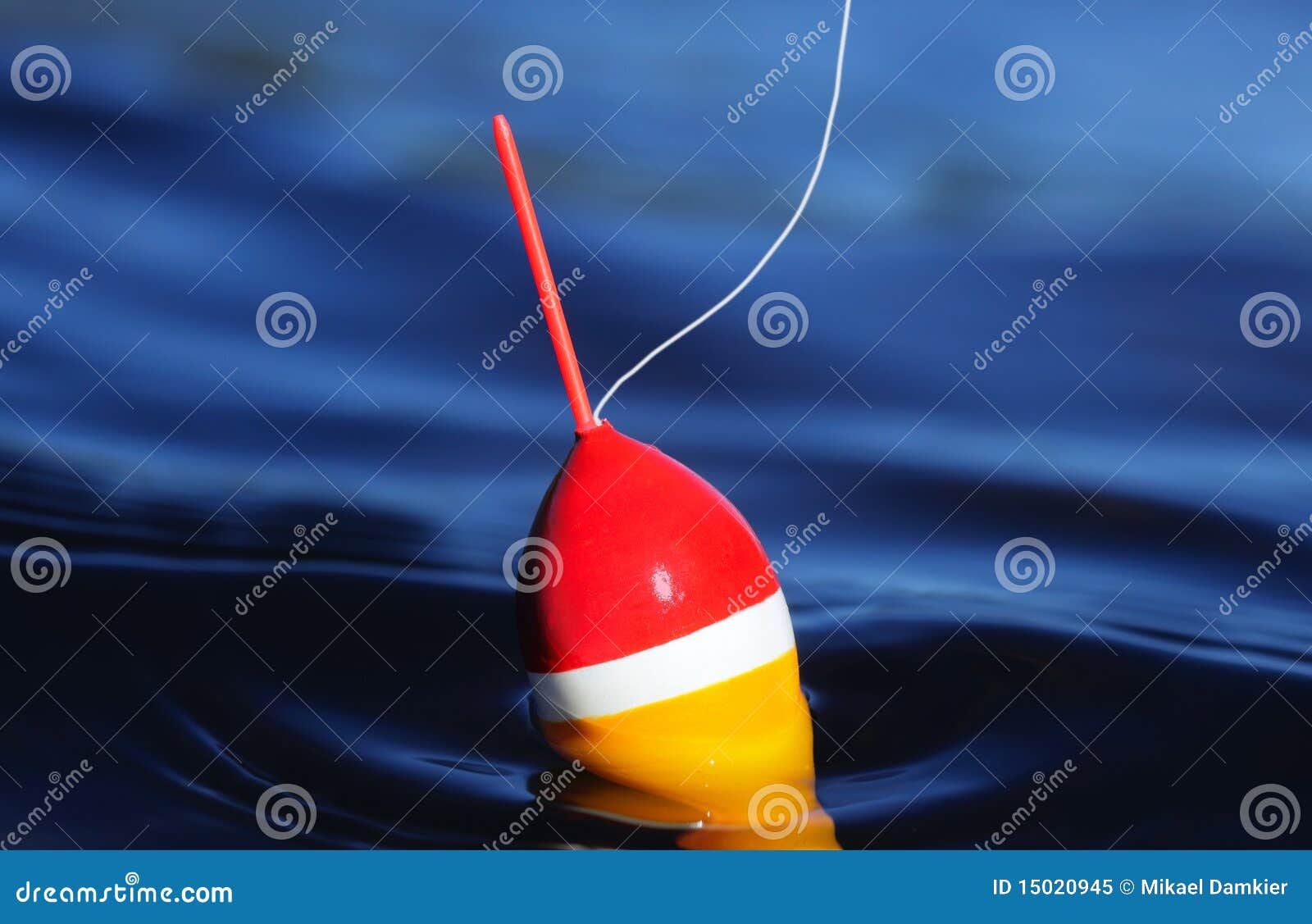 Cork Floating on Calm Lake stock image. Image of enjoyment - 15020945