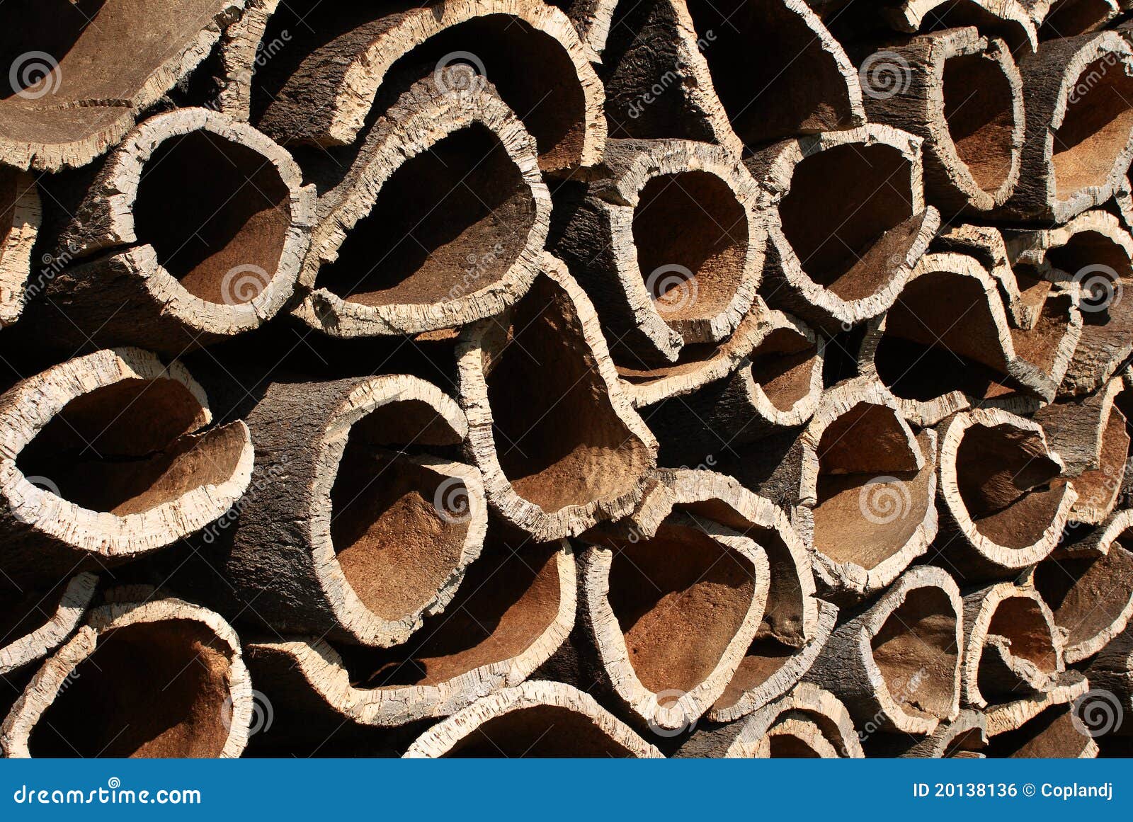Cork oak bark stock photo. Image of ecology, alentejo - 20138136
